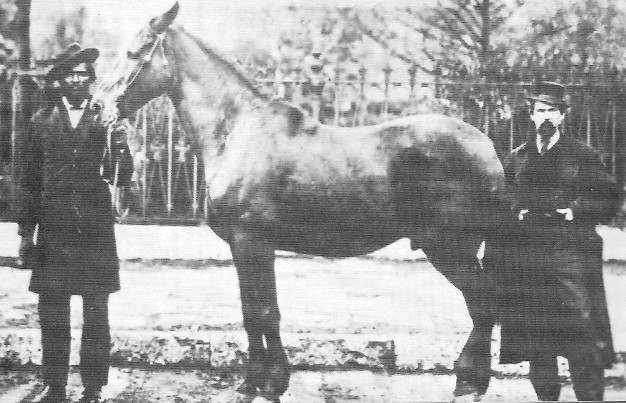 Abraham Lincoln Personal Data and Trivia